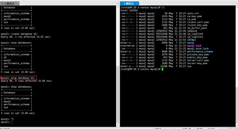 【mysql】库的操作表的操作mysql创建数据库 Csdn博客 【mysql】库的操作表的操作mysql创建数据库 Csdn博客