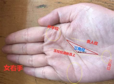 三角纹是什么形状图片手相三角形图解位置5 伤感说说吧
