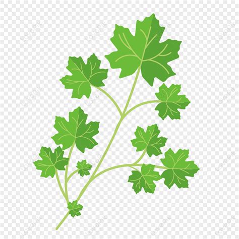 고수 Png 일러스트 무료 다운로드 Lovepik