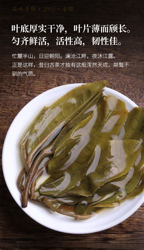 勐傣茶厂 2023年昔归古树纯料春茶云南普洱茶生茶饼茶200g 云南勐傣茶业有限公司