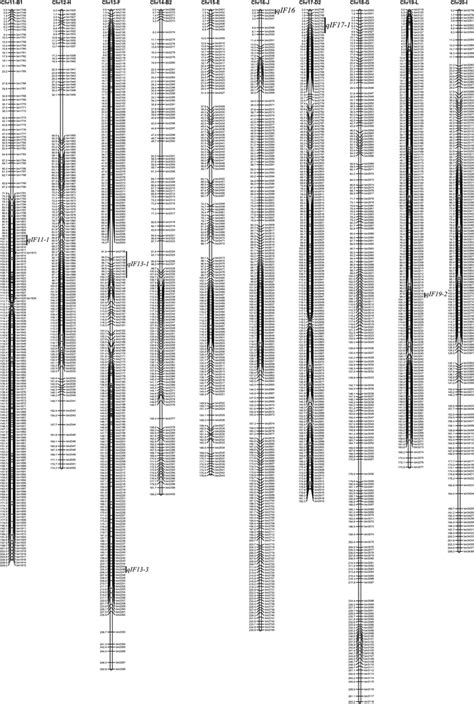Twenty Linkage Groups Of The Soybean High Density Genetic Map Linkage Download Scientific