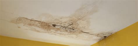 Faq Flat Roof Leaking The Top 3 Causes Of Leaks In A Flat Roof