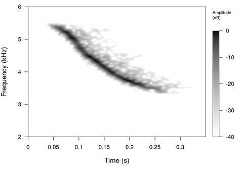 Ots Bioacoustic Analysis In R 2023 Building Spectrograms