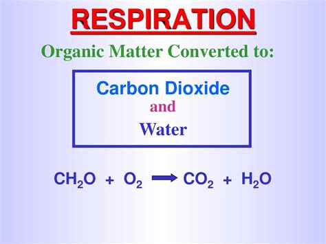Dissolved Oxygen And Biochemical Oxygen Demand Analyses Ppt Download