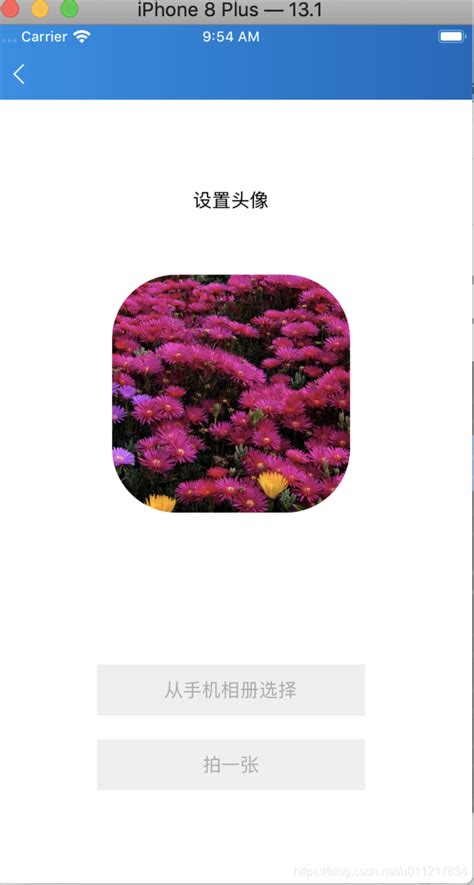 ios 使用xib布局 适配各机型遇到的小问题 ios xib适配机型 csdn博客