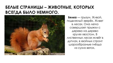 Проект «Красная книга презентация онлайн