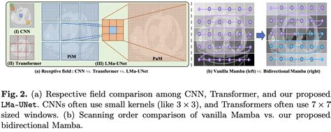 Lma Unet Kernel Mamba Large Window Based Mamba Unet For