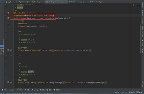 若依添加多数据库源 不同数据库ruoyi Cloud 多数据库配置 Csdn博客