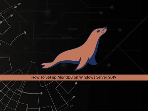 How To Install 7 Zip On Windows Server 2022 OrcaCore