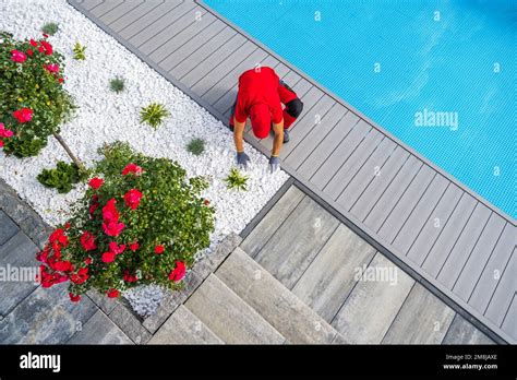 Professional Caucasian Landscaper In His 40s Spreading White Decorating