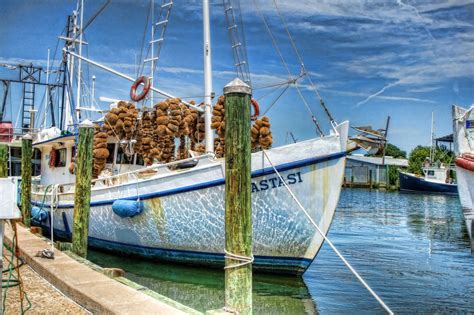 Tarpon Springs Florida Florida Girl Visit Florida Great Places
