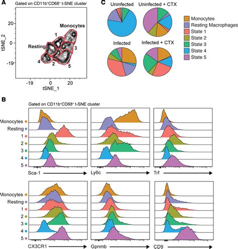 Flow Cytometric Validation Of Monocle States Identified By Single Cell Download Scientific