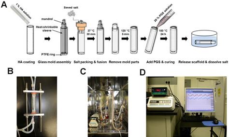 Scaffold Fabrication And Bioreactor System A Schematic Of Tubular Download Scientific