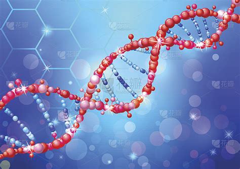 Dna分子发光的序列。