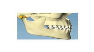 Principles Of Occlusion Pptx