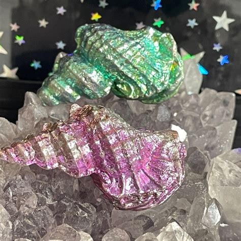 Accents Reserved Bismuth Conch Shell Crystal Casting Both Poshmark