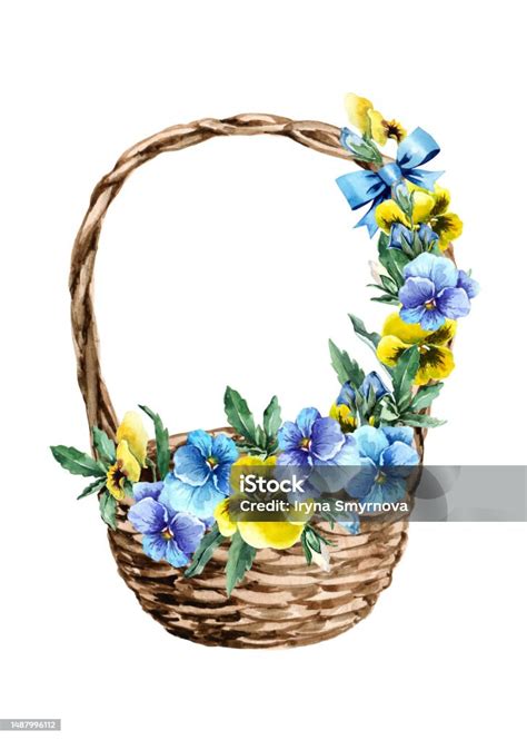 여름 팬지 꽃의 꽃다발과 고리 버들 바구니입니다 초원 화환에 야생화와 허브가 피어 있습니다 부활절 청첩장 카드 배너 인쇄를 위한 손으로 그린 수채화 그림 0명에 대한 스톡