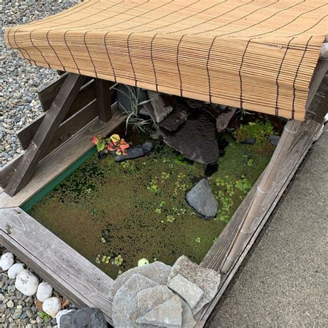 庭DIYの極意3つのスタイルで作る池の魅力
