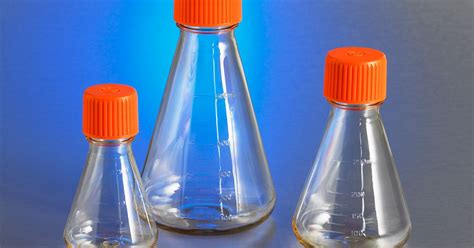 Corning® 250 Ml Polycarbonate Erlenmeyer Flask With Vent Cap