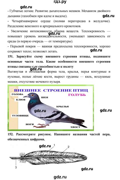 ГДЗ страница 100–111 биология 8 класс рабочая тетрадь Многообразие ...