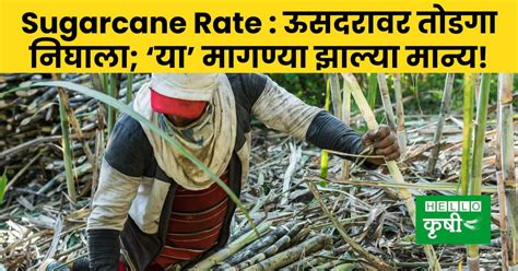 Sugarcane Rate ऊसदरावर तोडगा निघाला या मागण्या झाल्या मान्य
