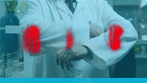 animation of shapes over caucasian male scientist working in lab stock