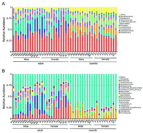 Relative Abundance Of The Top 10 Most Abundant Bacterial Phyla A And