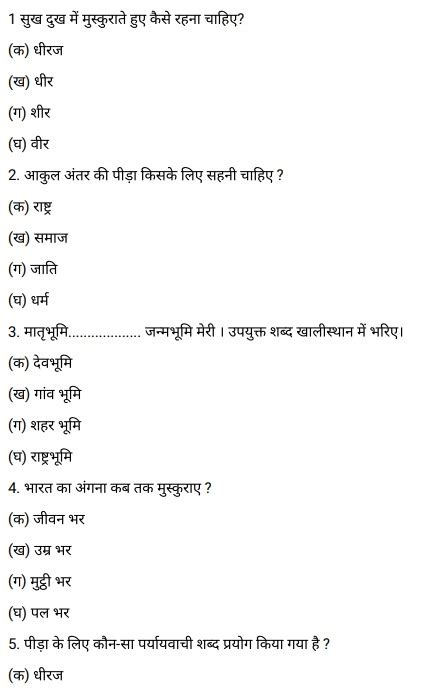 Haryana Board 12th Hindi Elective Model Paper With Solution 2025