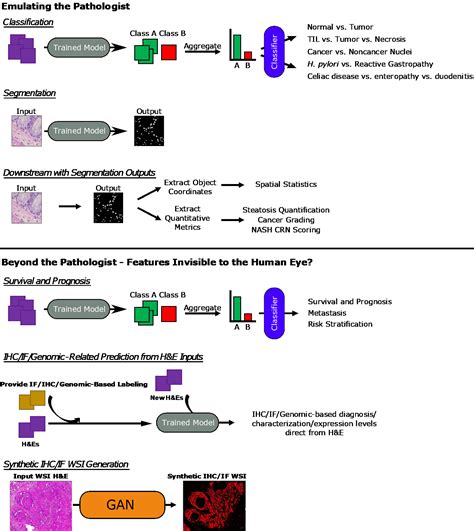 State Of Machine And Deep Learning In Histopathological Applications In Digestive Diseases