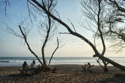 WISATA PANTAI GOA CEMARA ANTARA Foto