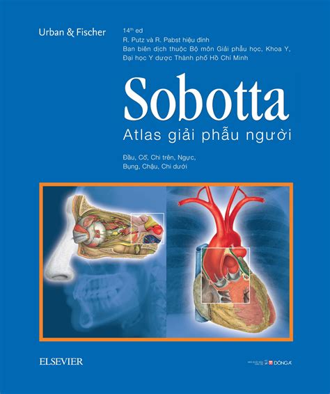 Bài Giảng Nhi Khoa Yhn Pdf Download Tập 1 2020 Free