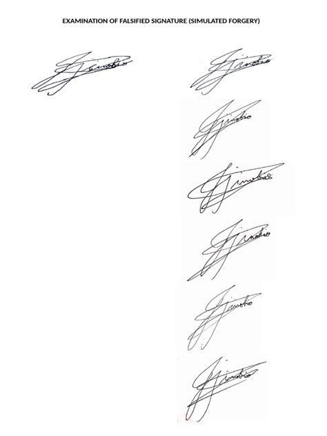 Falsified Pdf
