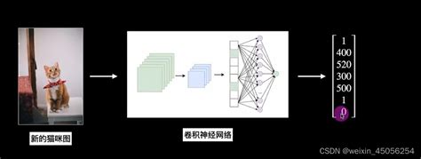 Yolo基本原理yolo算法原理简单描述 Csdn博客