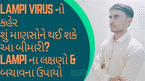 Lumpy Skin Disease Awareness In Gujarati Lampi Virus Cow Treatment