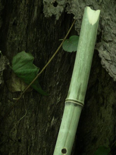 Make 4 Easy Bamboo Flutes For Free 7 Steps With Pictures