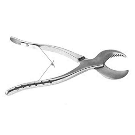 Stainless Steel Dental Plaster Cutter 1 At Rs 1000piece In Mumbai