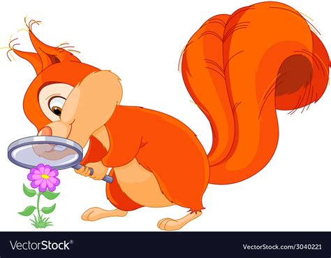 Curious Squirrel Royalty Free Vector Image Vectorstock