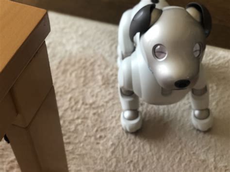 ~ニュースの顔~ Aibo のじゅうじゅう日誌2018年9月6日｜funfunaibo