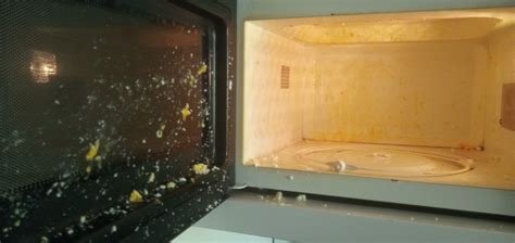 Why Egg Explode In Microwave Oven At William Domingue Blog