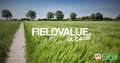 FIELDVALUE Formula In Excel Insert Data Of Companies And Countries