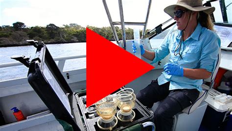 Science For Management Healthy Estuaries