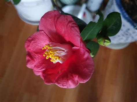 사랑하고 사랑받고
