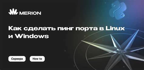 Как сделать пинг порта в Linux и Windows