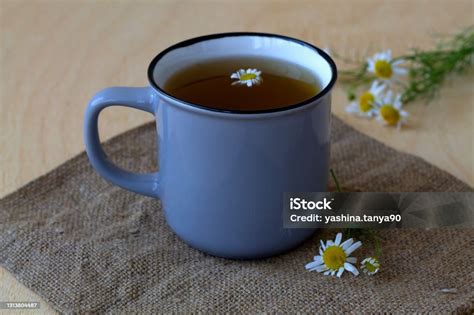 뜨거운 음료 자루에 카모마일 차의 회색 찻잔 나무 테이블에 뜨거운 허브 카모마일 차 한 잔에 신선한 꽃과 녹색 잎이 있는 카피 공간이 있는 밝은 배경 0명에 대한 스톡 사진