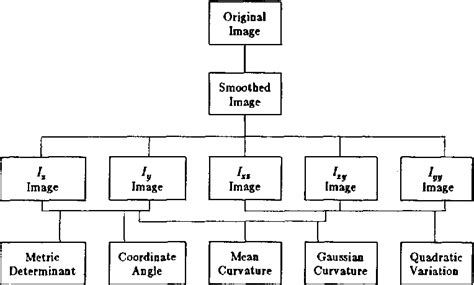 Figure 11 From Invariant Surface Characteristics For 3d Object