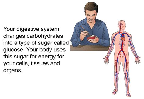 Carbohydrates
