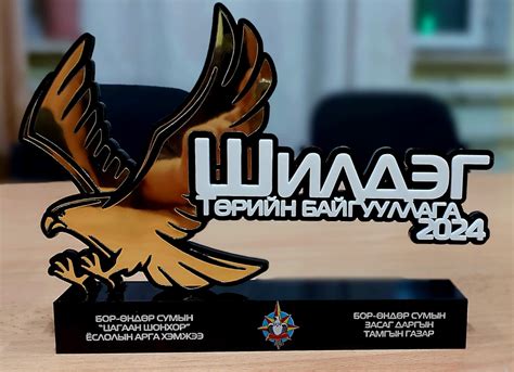 Бор Өндөр Эмэгтэй сагсан бөмбөг Тэргүүн байр Алтан медаль Facebook