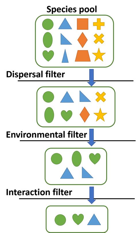 Three Types Of Filtering Mechanisms These Three Types Of Filtering Download Scientific Diagram