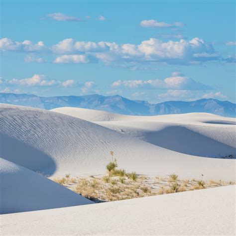 A Dune In June Life Is Unpredictable Everything… By Chérie Jun