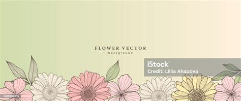 분홍색 데이지와 금송화가 있는 벡터 밝은 꽃 배경 텍스트 사진 졸업장 엽서 및 프리젠테이션 명함의 배경 0명에 대한 스톡 벡터 아트 및 기타 이미지 Istock